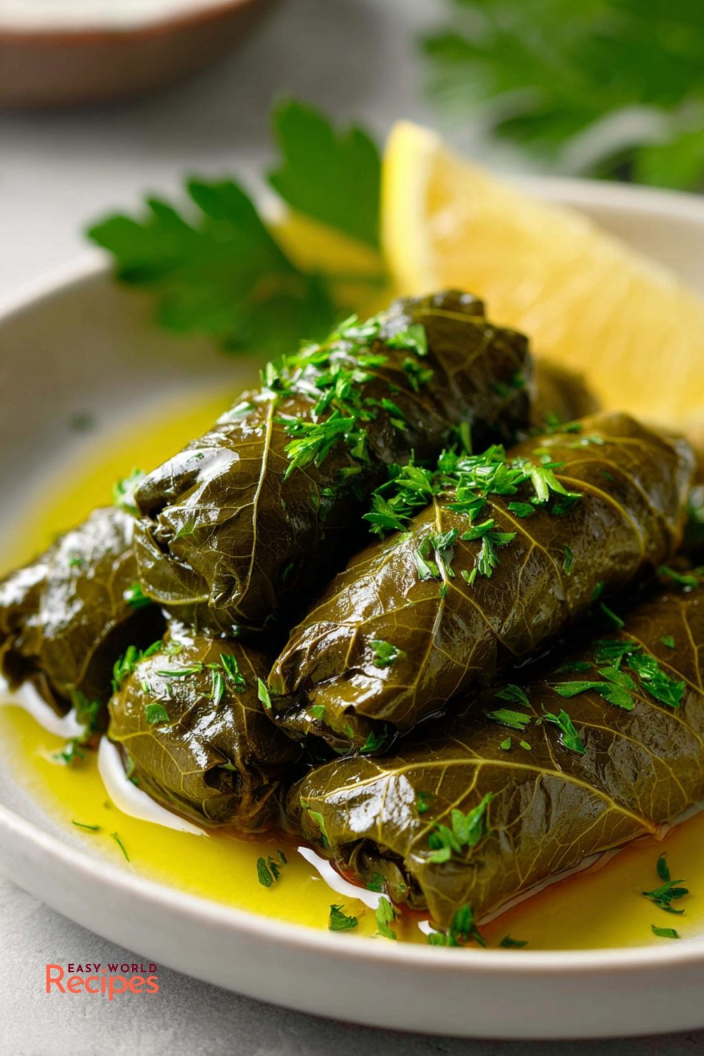 Dolmadakia Recipe (Greek Stuffed Grape Leaves)