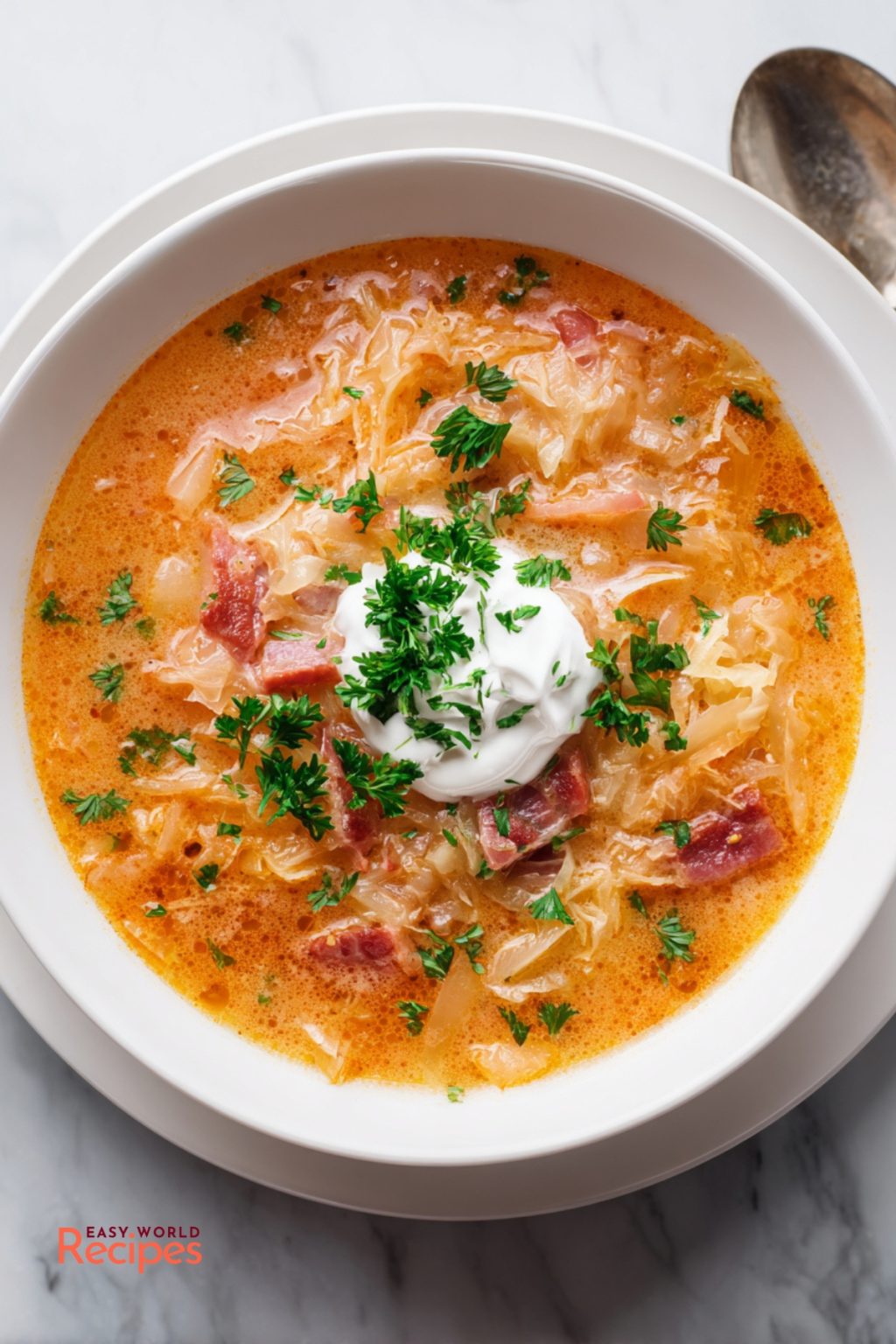 German main dishes - EasyWorldRecipes